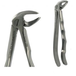 HuberMed - Power Dental USA: 33 LOWER ROOT